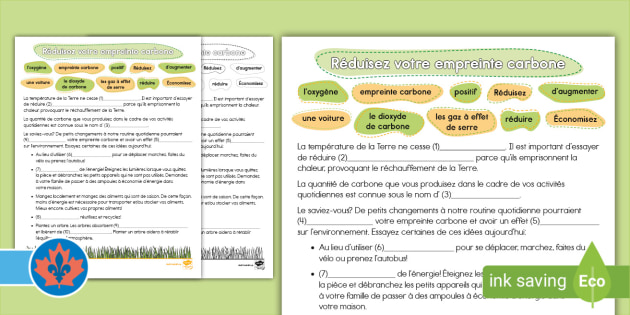 Reducing Your Carbon Footprint Cloze Activity French