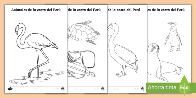 Animales Del Desierto Para Colorear