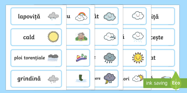 Vremea Cartonașe ilustrate (teacher made)