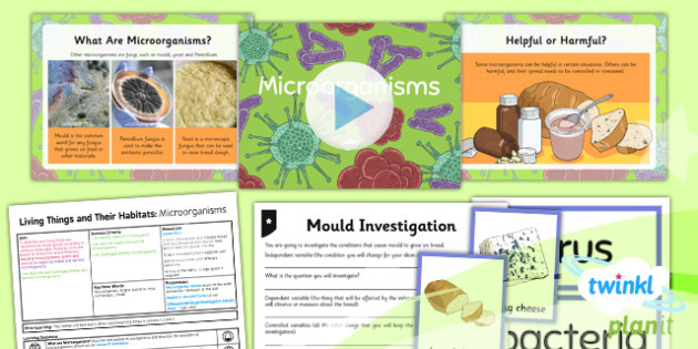 Living Things and Habitats: Microorganisms | Year 6 Science