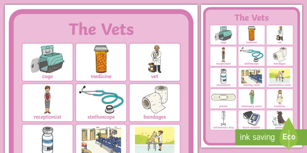 The Vets Aistear Vocabulary Poster (teacher made)