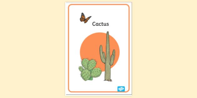 FREE! - Cactus Poster Printable | Display Posters | Primary Resources