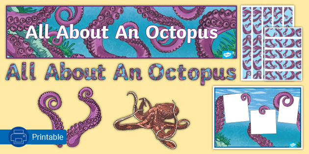 FREE! - All About An Octopus Display Pack (teacher made)