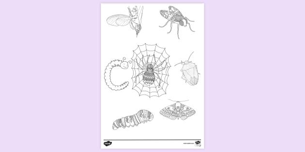 FREE! - Kids Colouring Page Bugs | Colouring Sheets