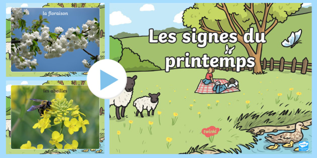 Powerpoint : les signes du printemps (teacher made)