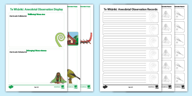 NZ ECE Anecdotal Records Display Template (teacher made)
