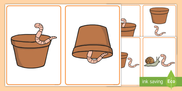 Where Is the Worm? Positional Language Picture Cards