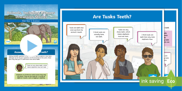 Year 4 Animals Including Humans Science Discussion Starter
