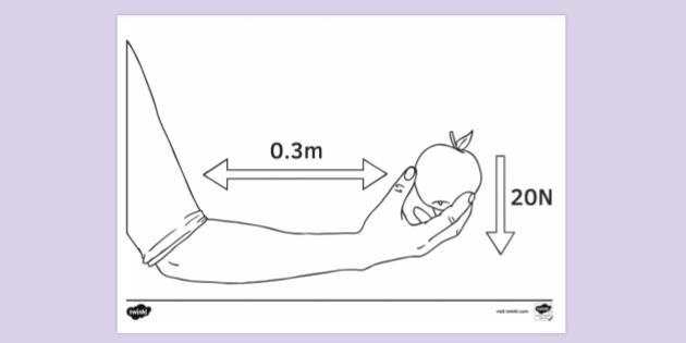 FREE! - Arm Holding Apple Colouring Sheet | Colouring Sheet