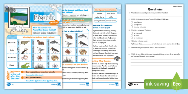 KS1 Beach Habitats Reading Comprehension Activity