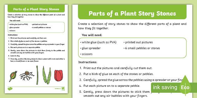 Parts of a Plant Story Stone Image Cut Out plants