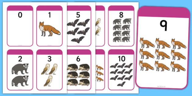 Nocturnal Animals Matching Activity Number Bonds to 10