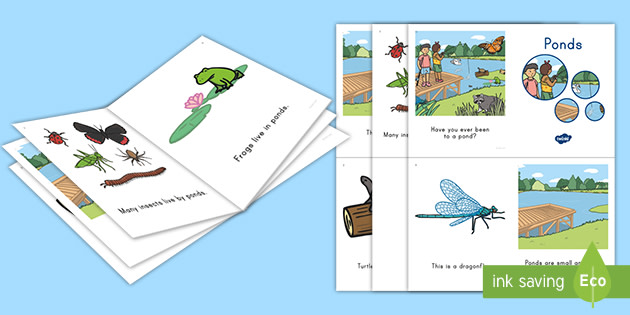 Pond Emergent Reader (teacher made)