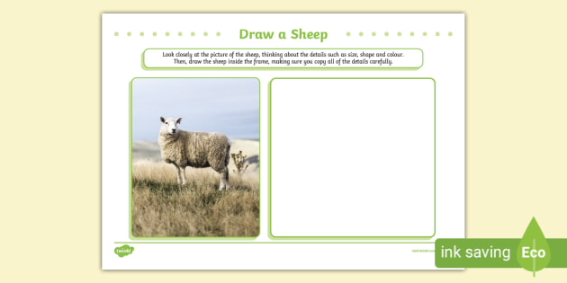 * NEW * Draw a Sheep Art Activity, Sheep, Drawing