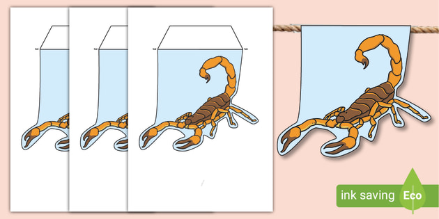 FREE! - Scorpion Bunting | Display Bunting | Display Items