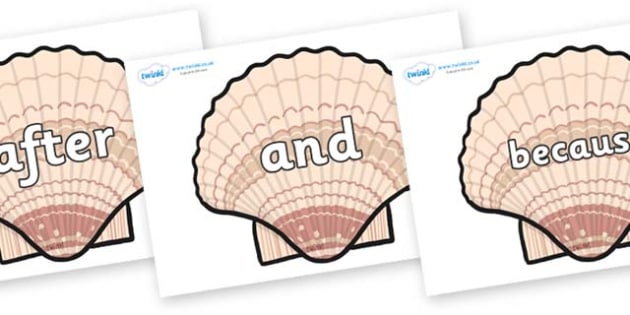 Connectives on Seashells (Teacher-Made)