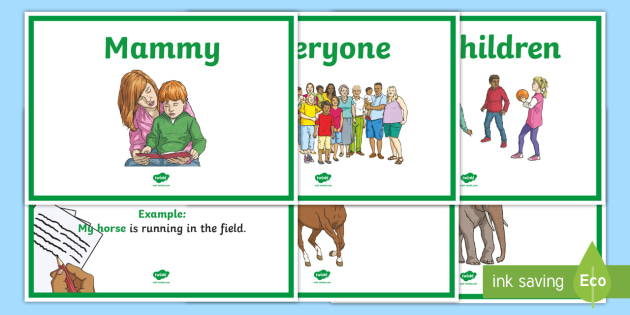 Subjects of Sentences Display Cards (teacher made)
