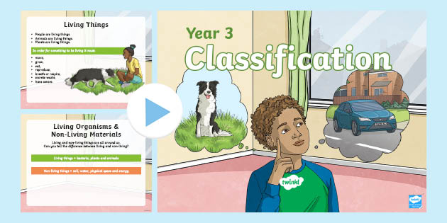 Year 3 Classification Keys PowerPoint (teacher made)