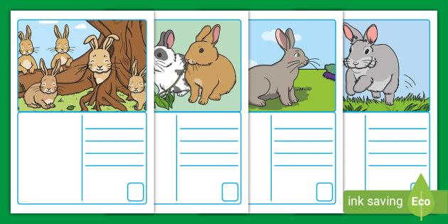 FREE! - Rabbit Postcards (teacher made)