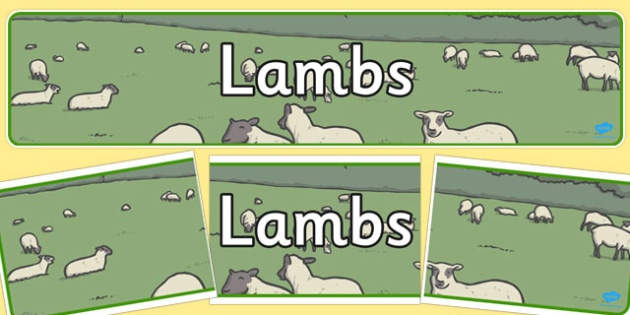 Lambs Display Banner (teacher made)
