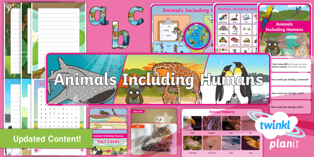 Animals Including Humans: Additional Resources Year 1