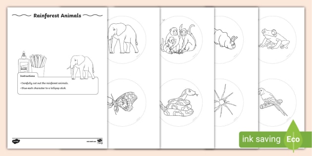 Rainforest Animals - Stick Puppets (Teacher-Made)