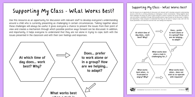 Supporting My Class - What Works Best For....? Adult Guidance