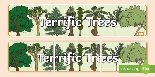 Terrific Trees Display Banner (teacher made)