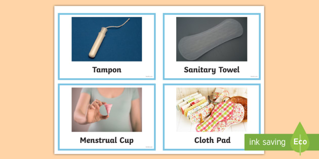 Sanitary Wear Flashcards (teacher made)