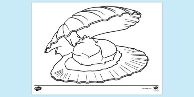 FREE! - Open Shellfish Colouring | Colouring Sheets