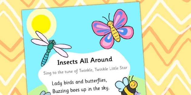 Insects All Around Display Poster (teacher made)