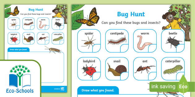 FREE! - Eco-Schools KS1 Bug Hunt (teacher made)
