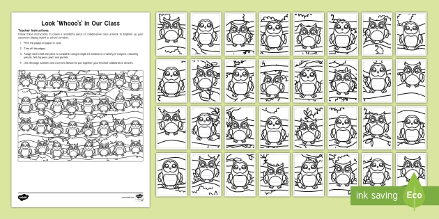 Look Whooo's in Our Class Collaborative Colouring Activity Pack