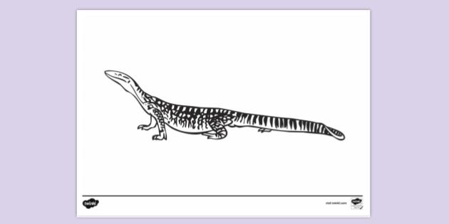 FREE! - Sand Goanna for Drawing Page Colouring Sheet - Fun Stuff