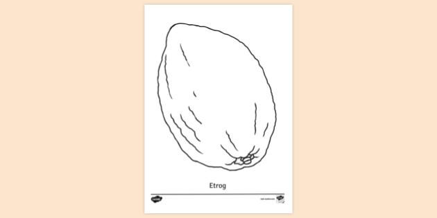 FREE! - Etrog Colouring Sheet – Sukkot Colouring Activity