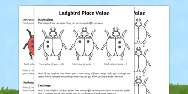Ladybird Place Value Worksheet / Worksheet Pack, worksheet