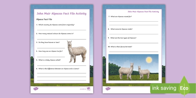 FREE! - John Muir Alpacas Fact File Activity | Twinkl