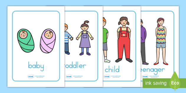 Human Growth Display Posters - human, body, growth, ourselves