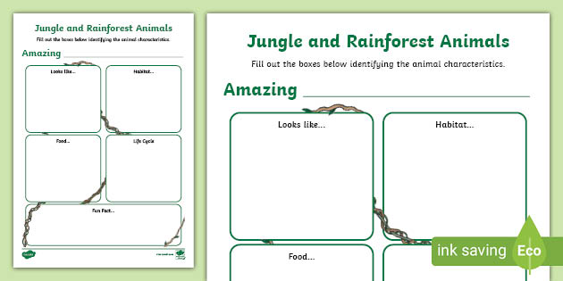 Jungle and Rainforest Animals Information Writing Frame - writing