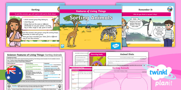 Year 1 Science Features of Living Things Lesson 6