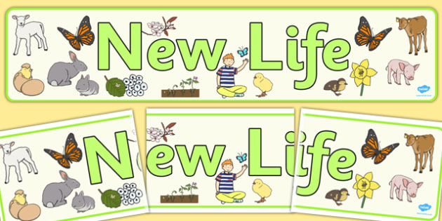 New Life Display Banner