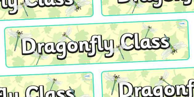 Dragonfly Themed Classroom Display Banner (teacher made)
