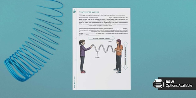 Quiz Worksheet Characteristics Of Transverse
