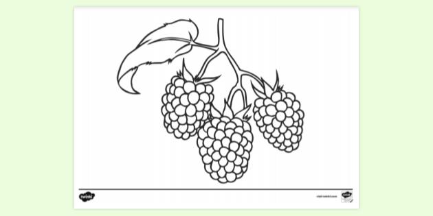 FREE! - Raspberries Colouring Sheet (teacher made)