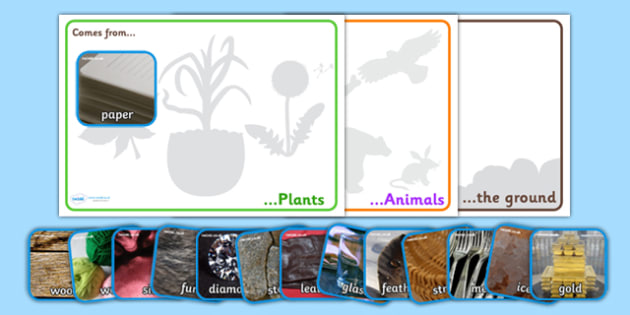 Natural Materials Sorting Activity (teacher made)