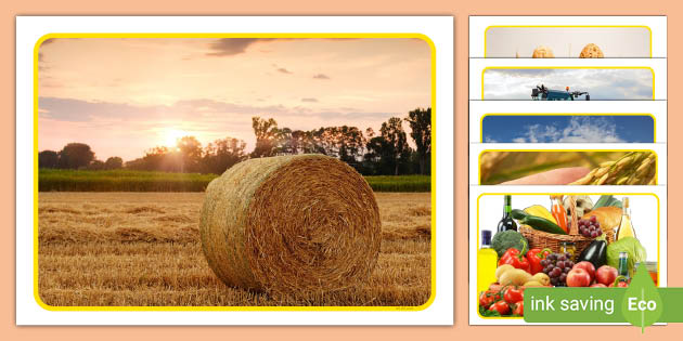 Harvest Intentional Promotion Photo Pack (teacher made)