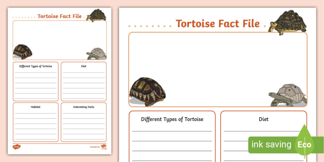 Tortoise Fact File (creat de profesori)