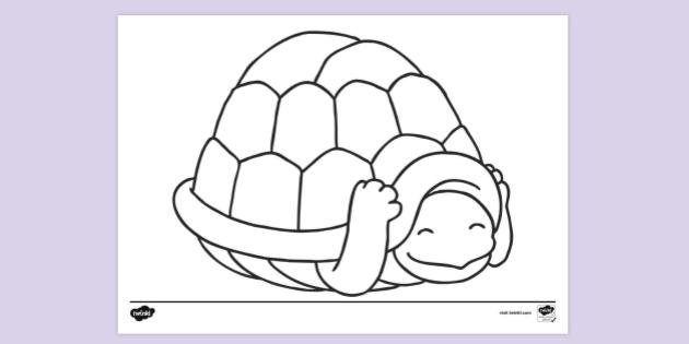 FREE! - Tortoise Inside Shell Covering Head | Colouring Sheets