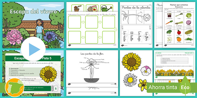 Pack de recursos: Las plantas (Hecho por educadores)