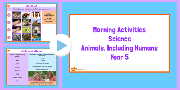 Year 5 Early Morning Science Activities Animals